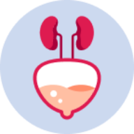 UTIs, Fertility & More