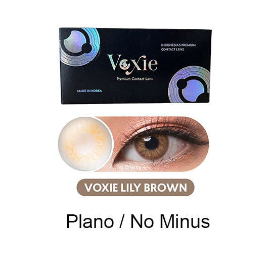 Kawai Gankyu Voxie Lily Brown Softlens Plano/No Minus - Kegunaan, Efek ...